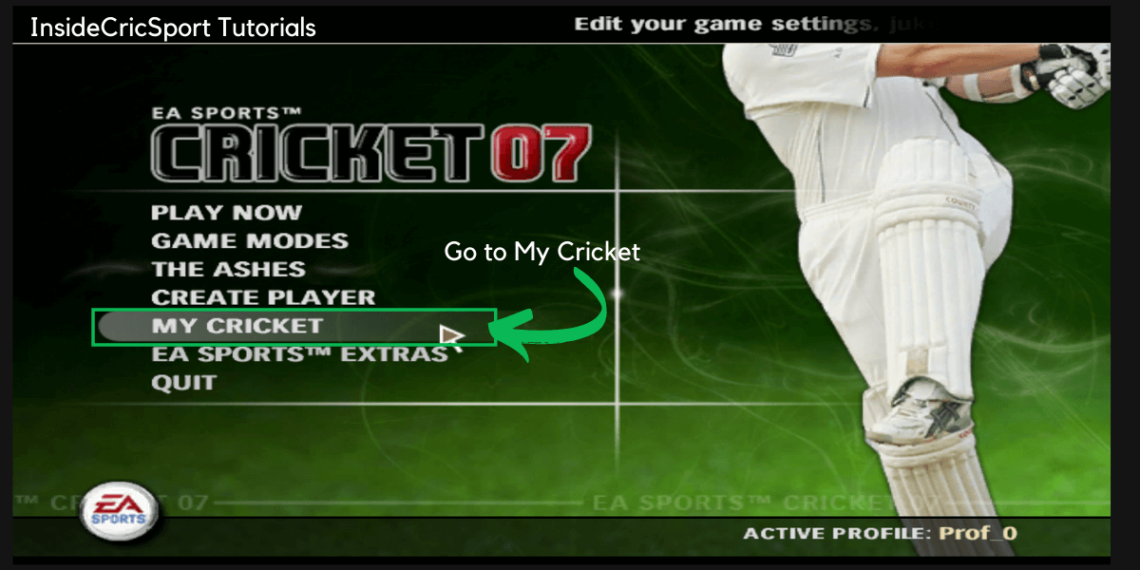 How to Play Cricket 07 in Full Screen | Step by Step Guide